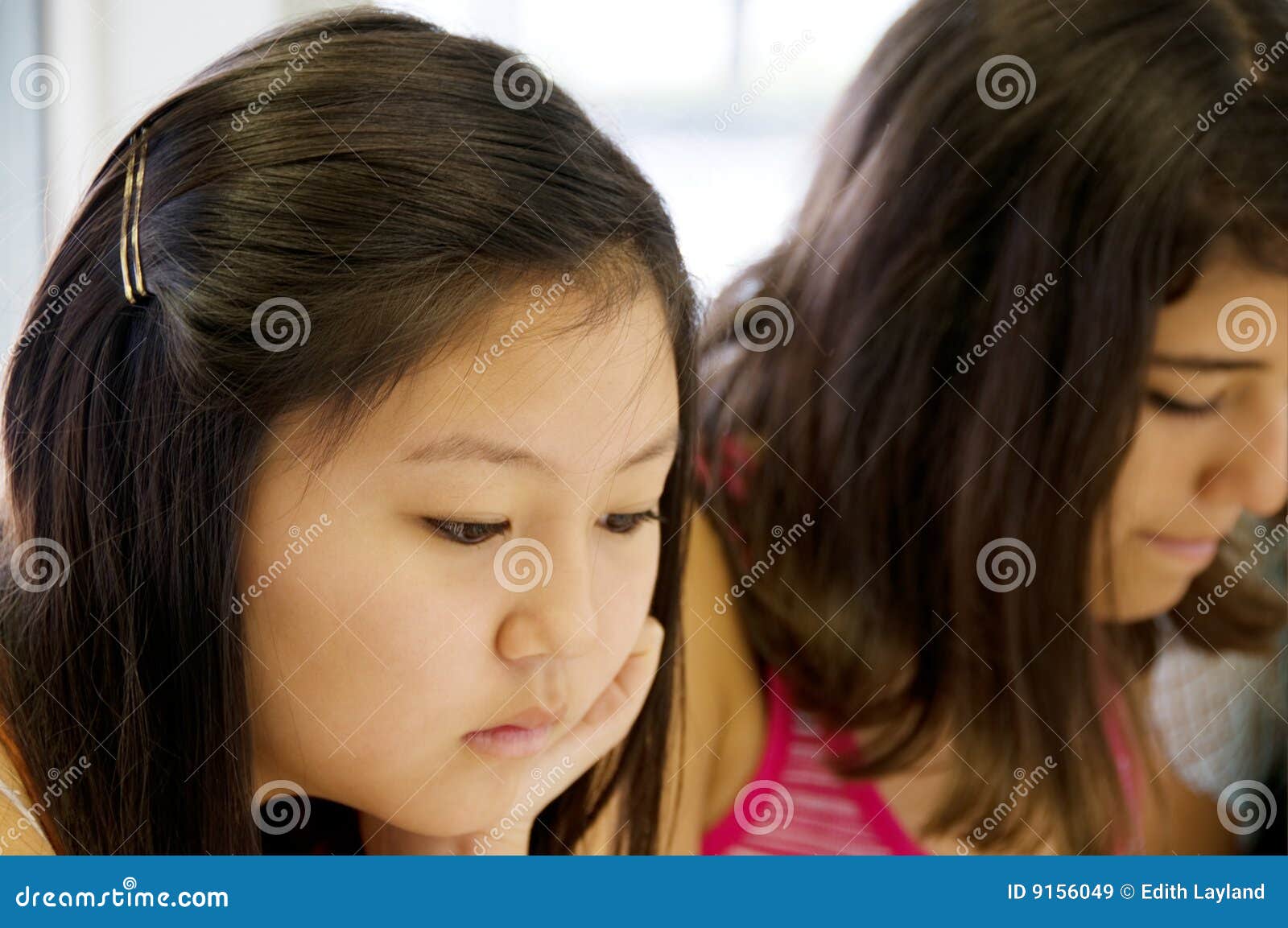 Student Working and Concentrating Stock Image - Image of female, study ...