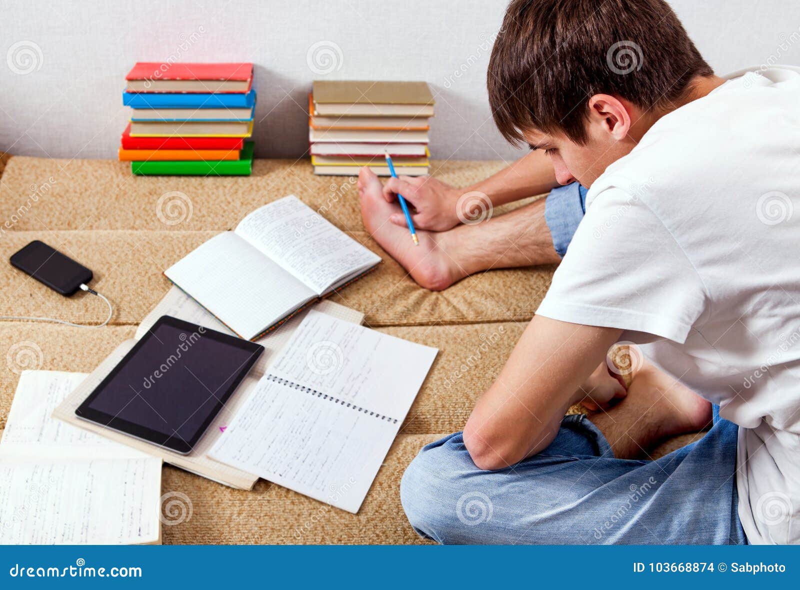 Student working at Home stock photo. Image of domestic - 103668874