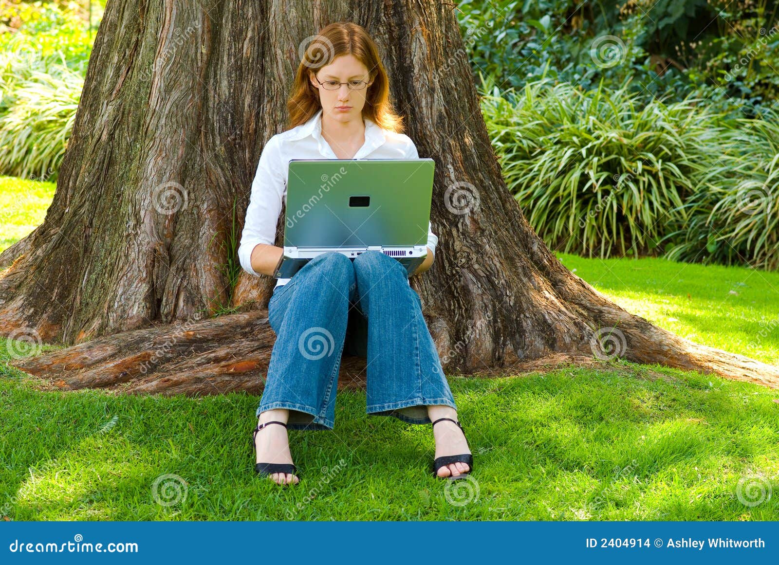 Student working outdoors stock photo. Image of laptop - 2404914