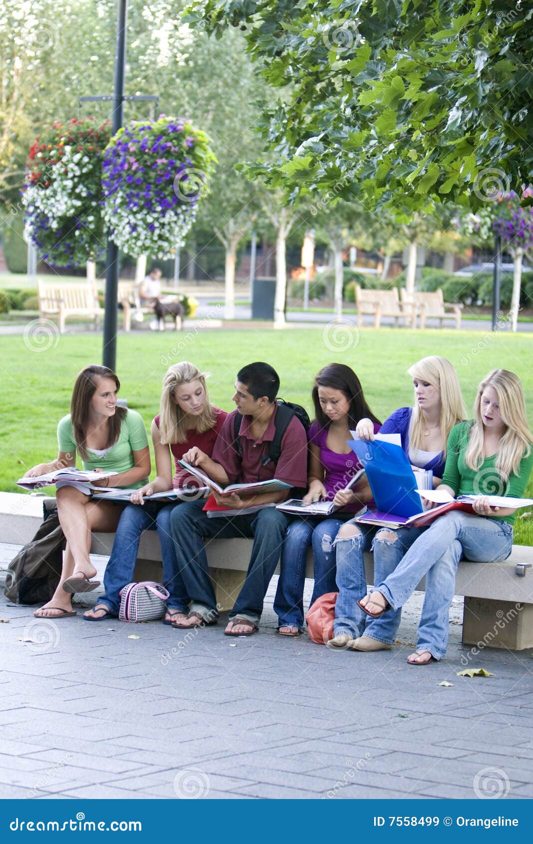 Students on a Bench stock image. Image of caucasian, high - 7558499