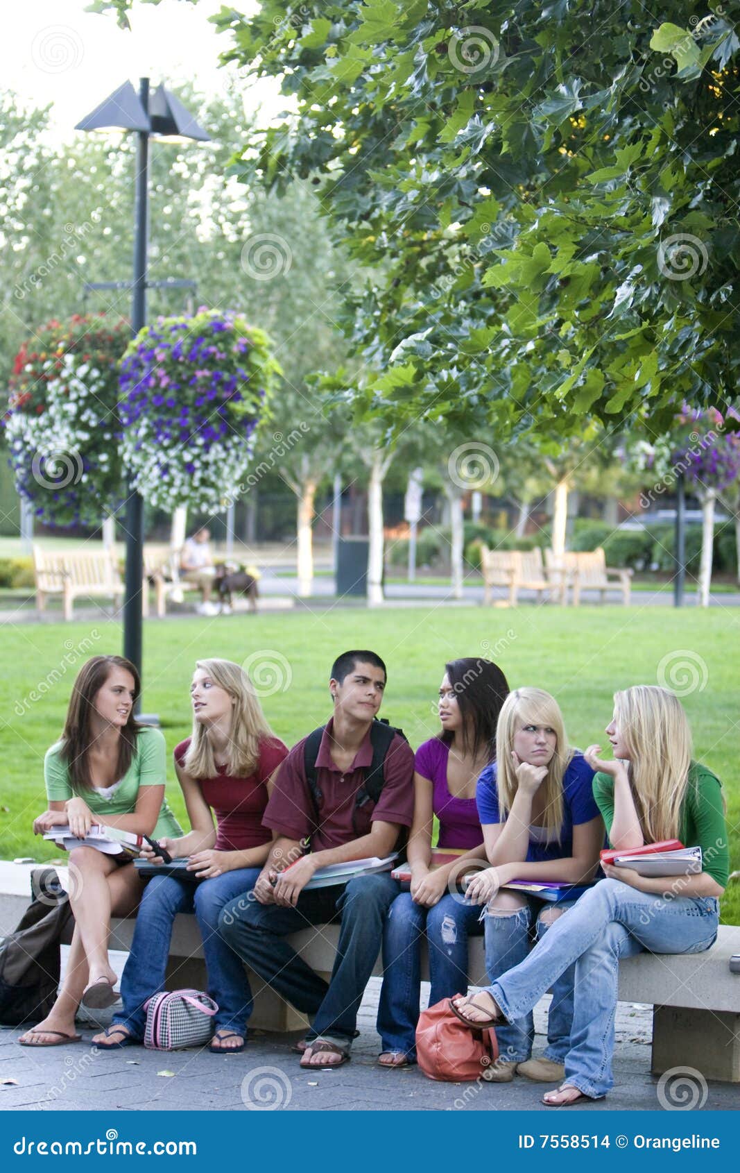 Students on a Bench stock photo. Image of people, future - 7558514
