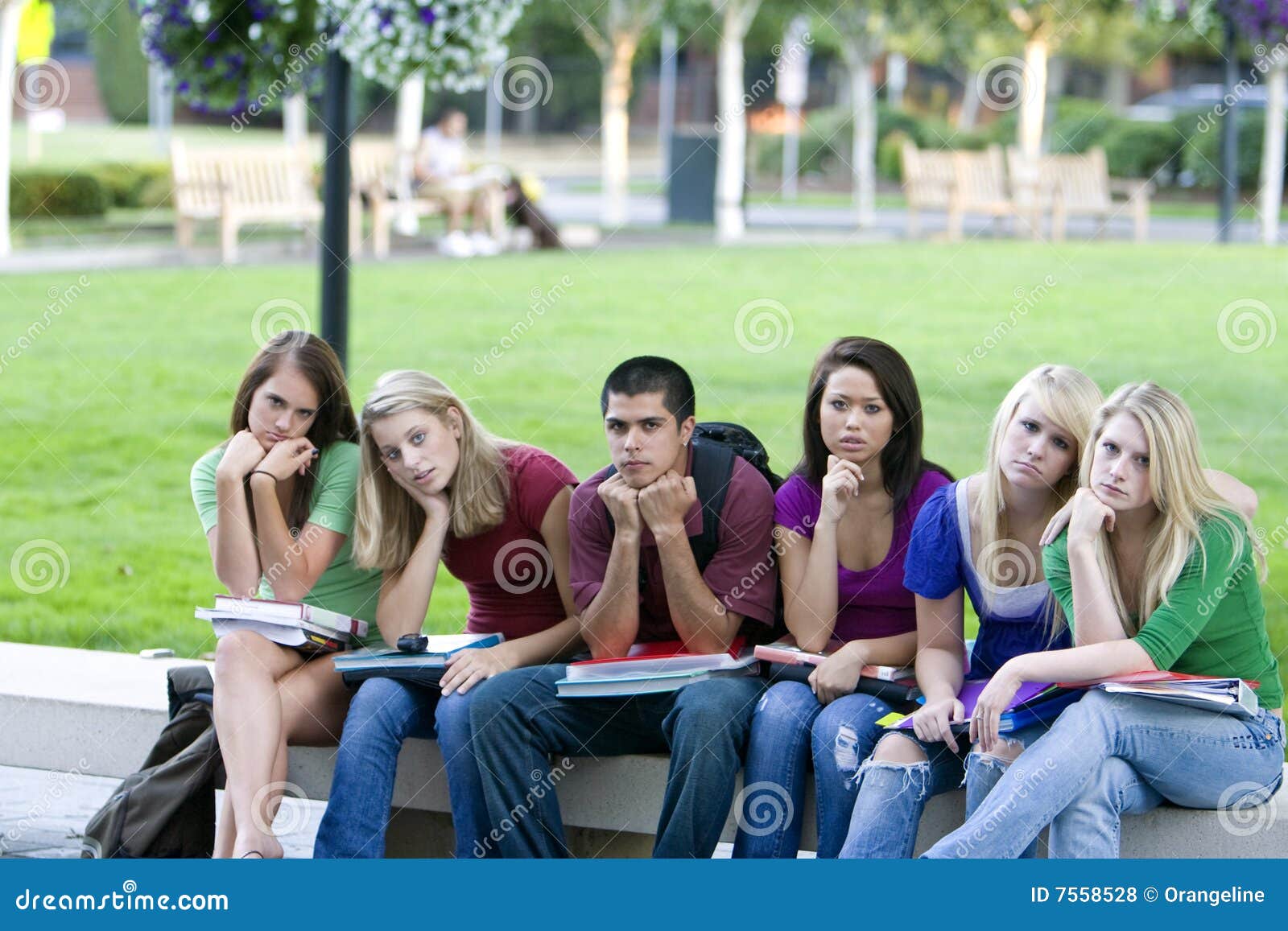 Students on a Bench stock photo. Image of learning, books - 7558528