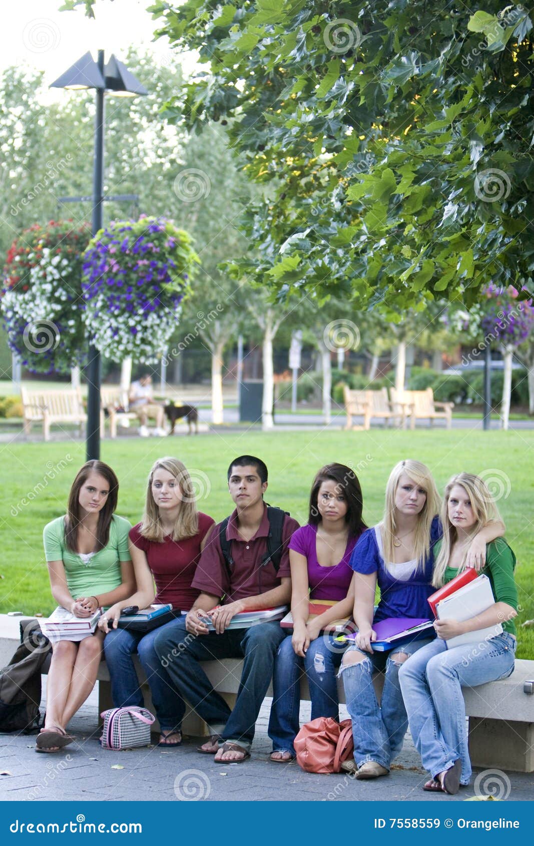 Students on a Bench stock image. Image of group, backpack - 7558559