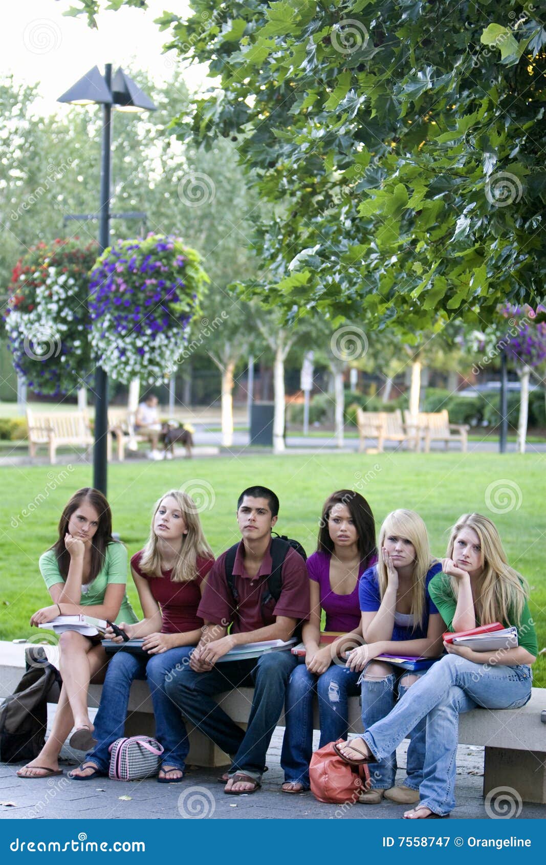 Students on a Bench stock image. Image of adolescent, future - 7558747