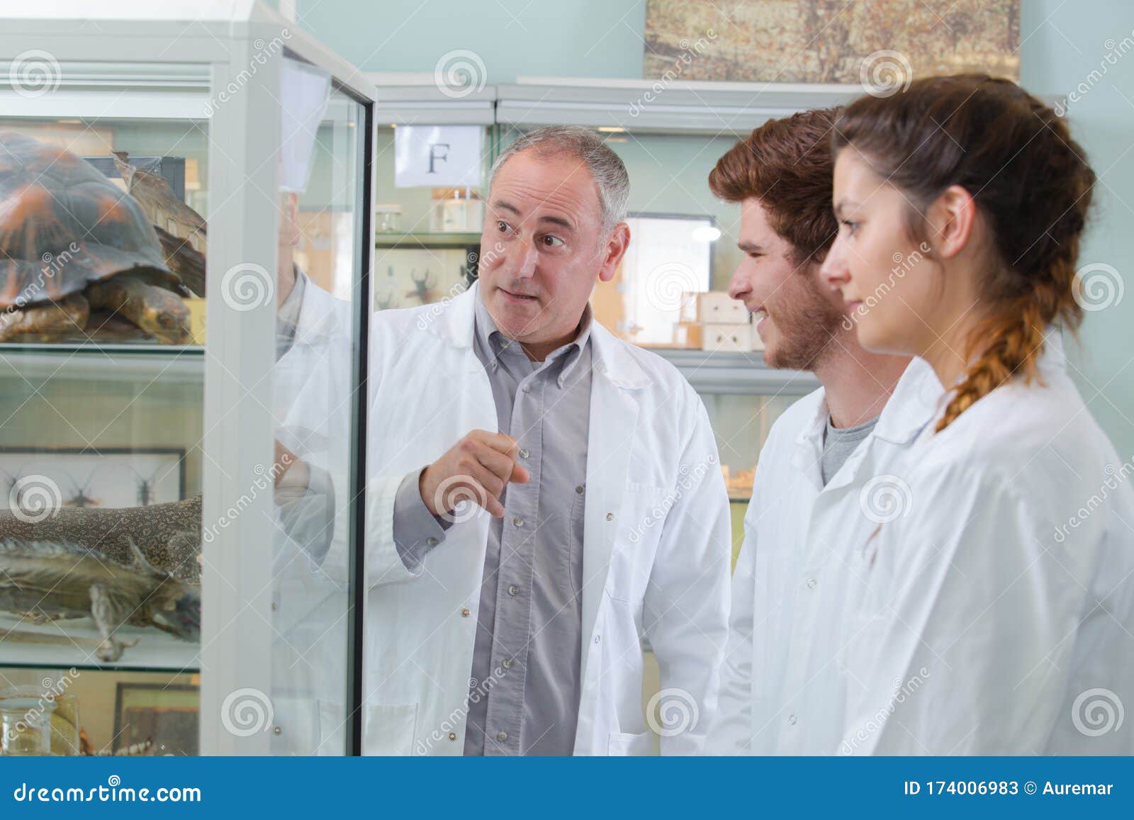 Students in biology class stock image. Image of school - 174006983