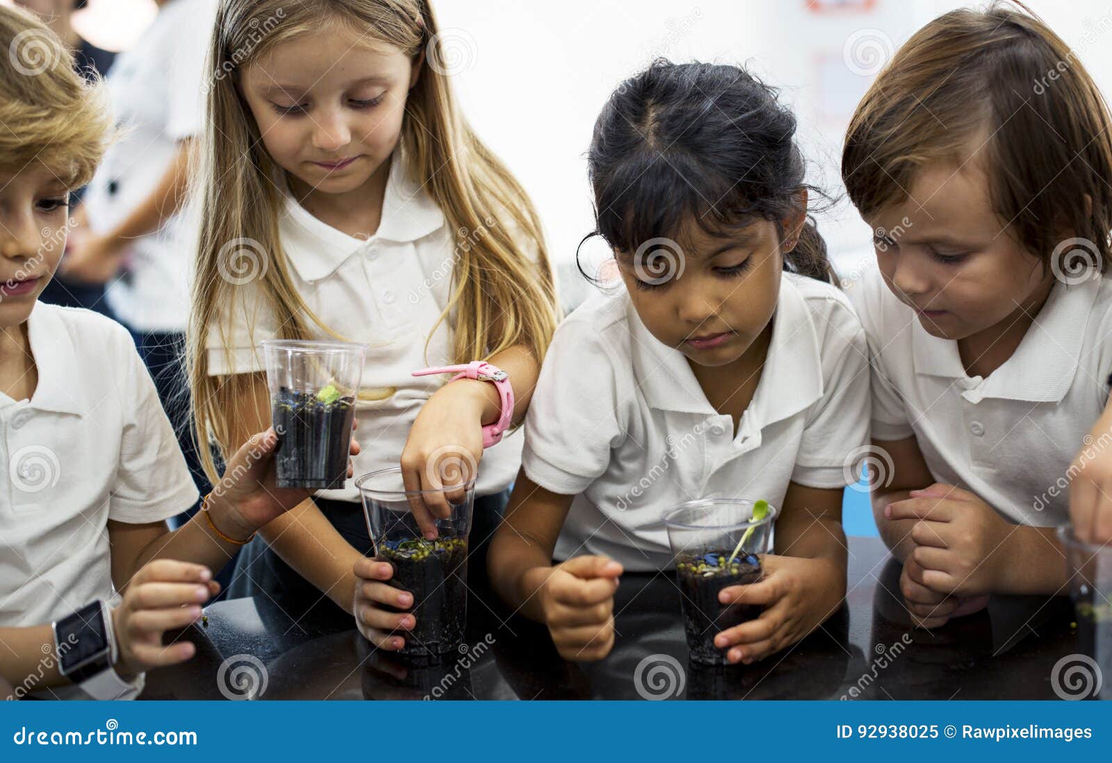 Students in a Class Learning Planting Experimental Stock Image - Image ...