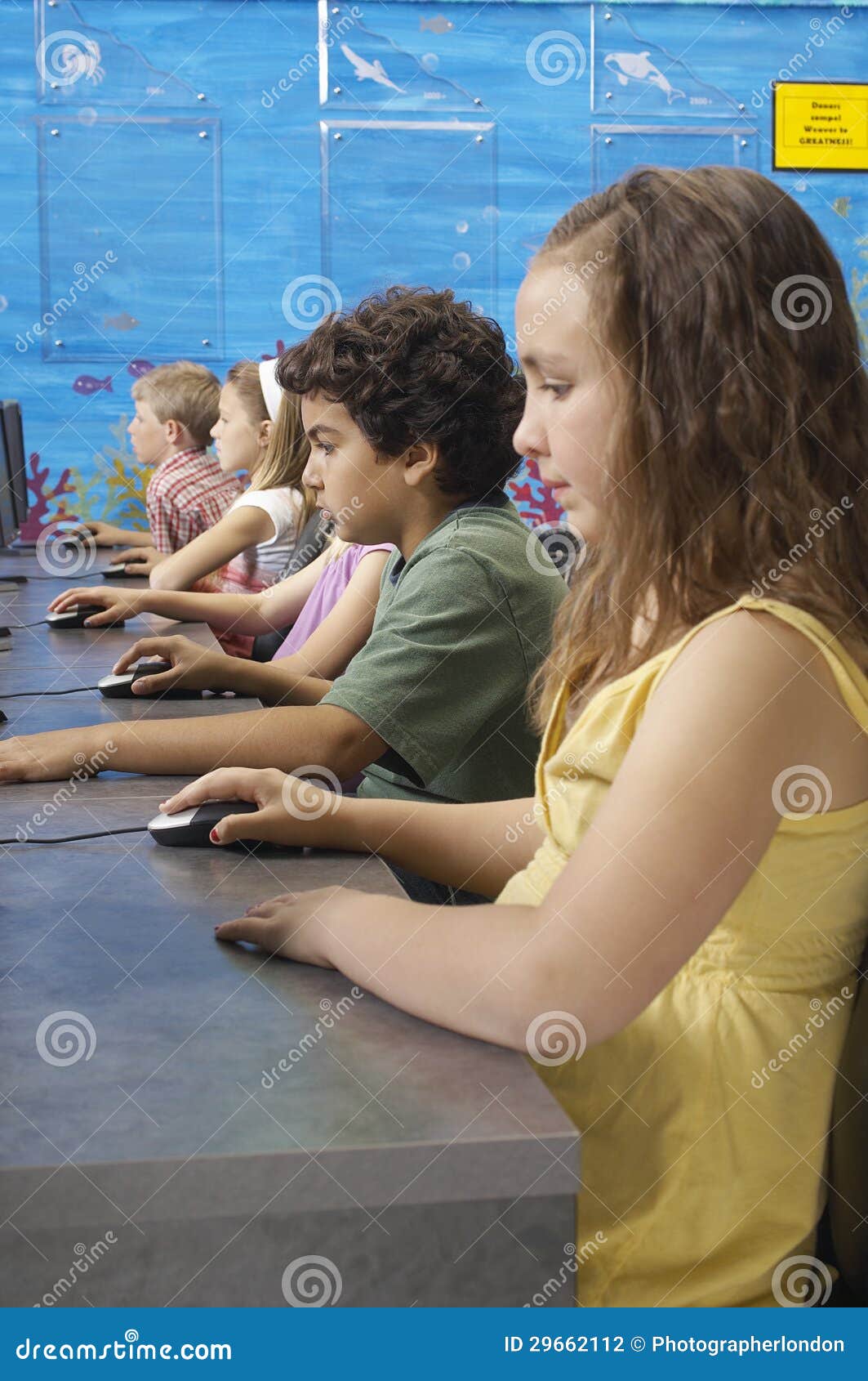 Students in Computer Lab stock photo. Image of classmate - 29662112
