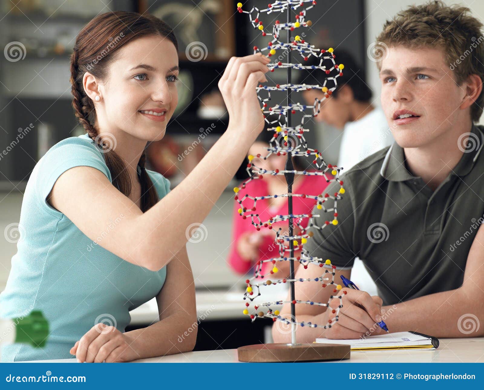 Students Examining DNA Model and Taking Notes Stock Photo - Image of ...
