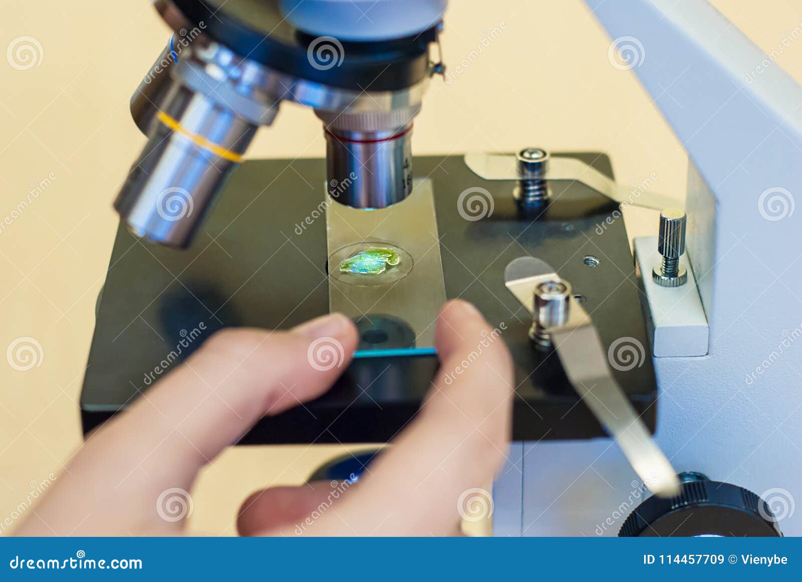 Students Experimenting and Discovering in Science Class Stock Image ...