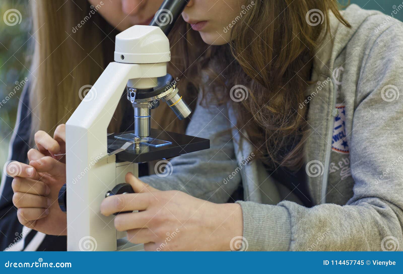 Students Experimenting and Discovering in Science Class Stock Image ...