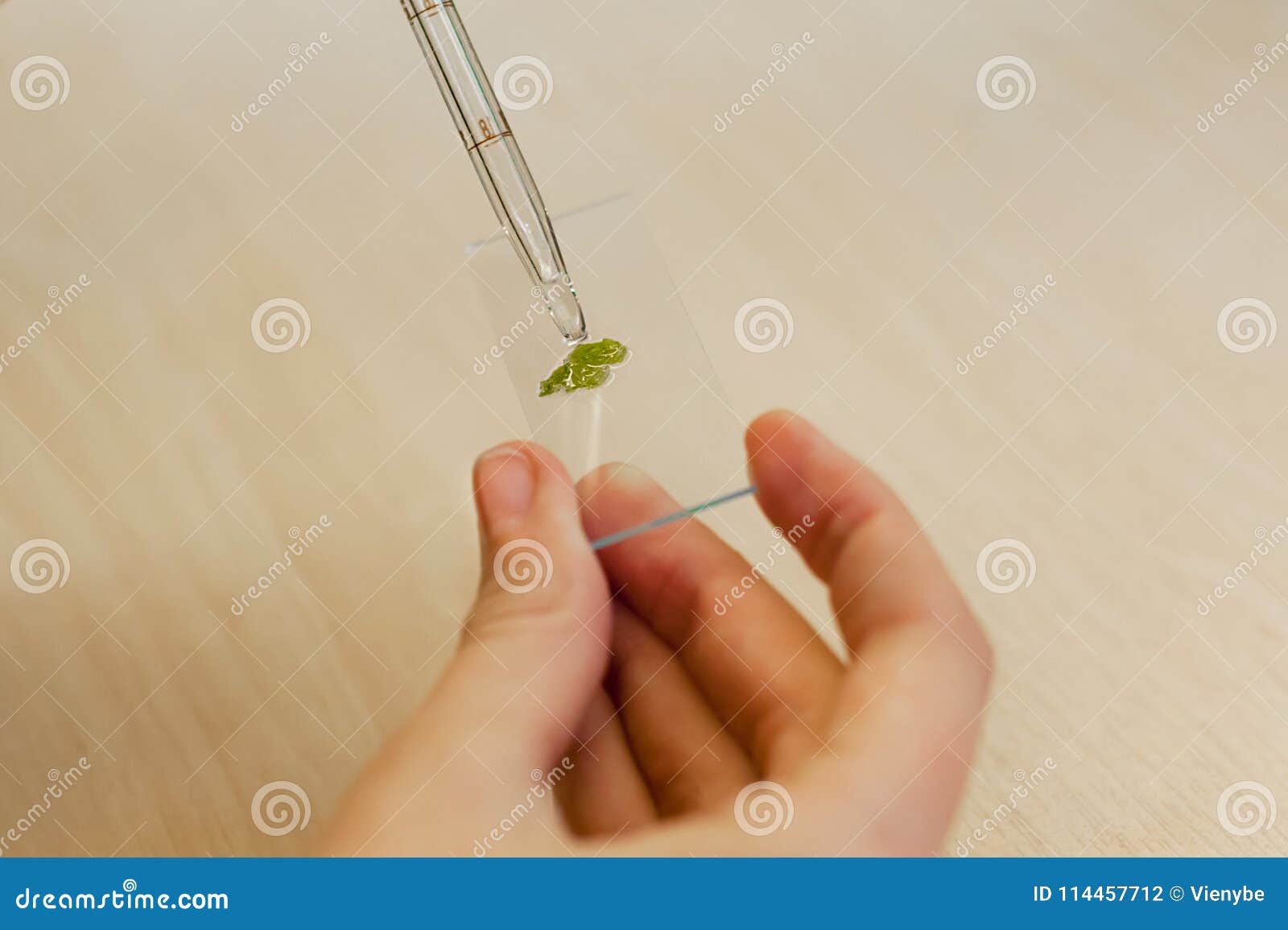 Students Experimenting and Discovering in Science Class Stock Photo ...