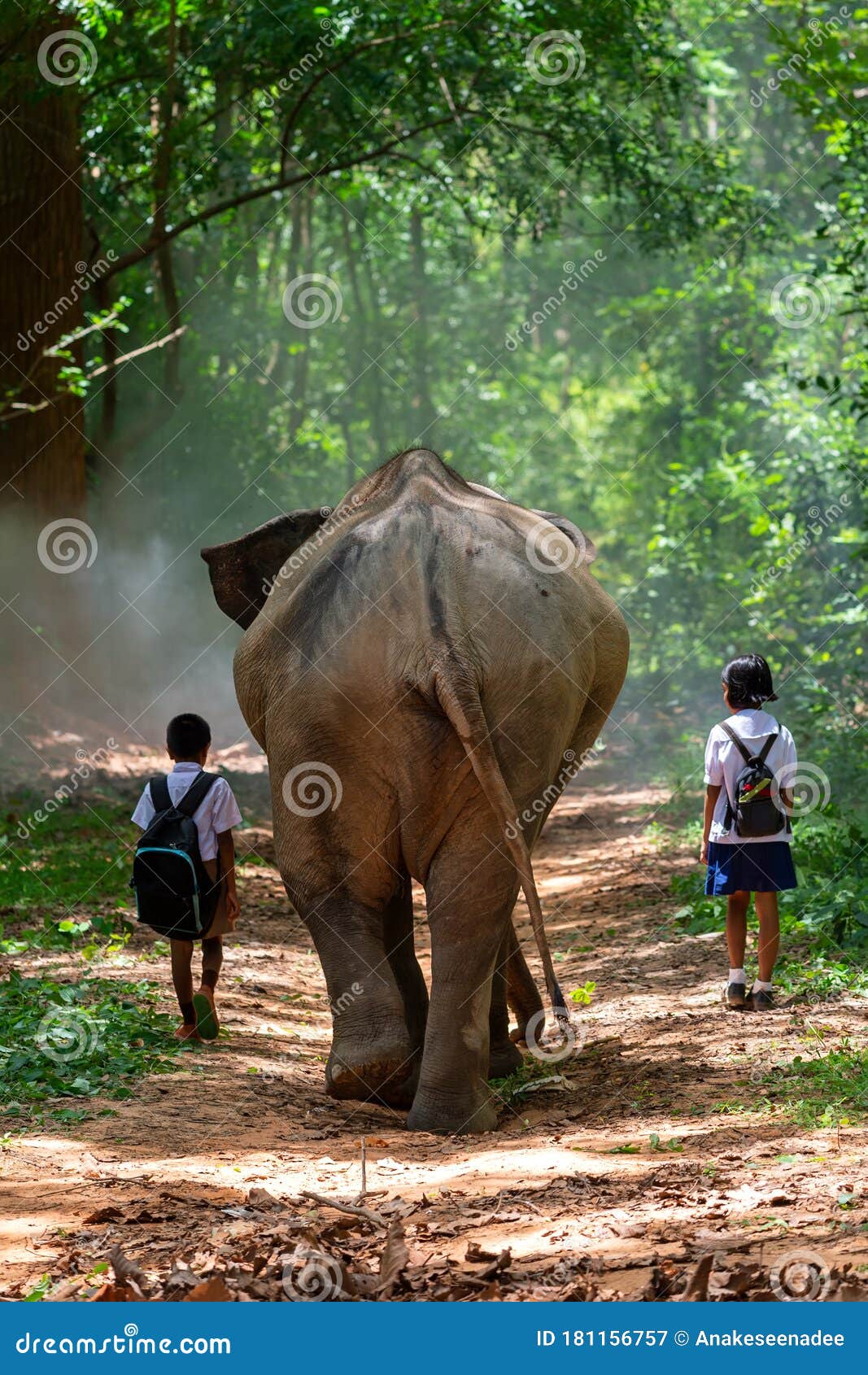 Students Going To School with a Big Elephant Editorial Photography ...