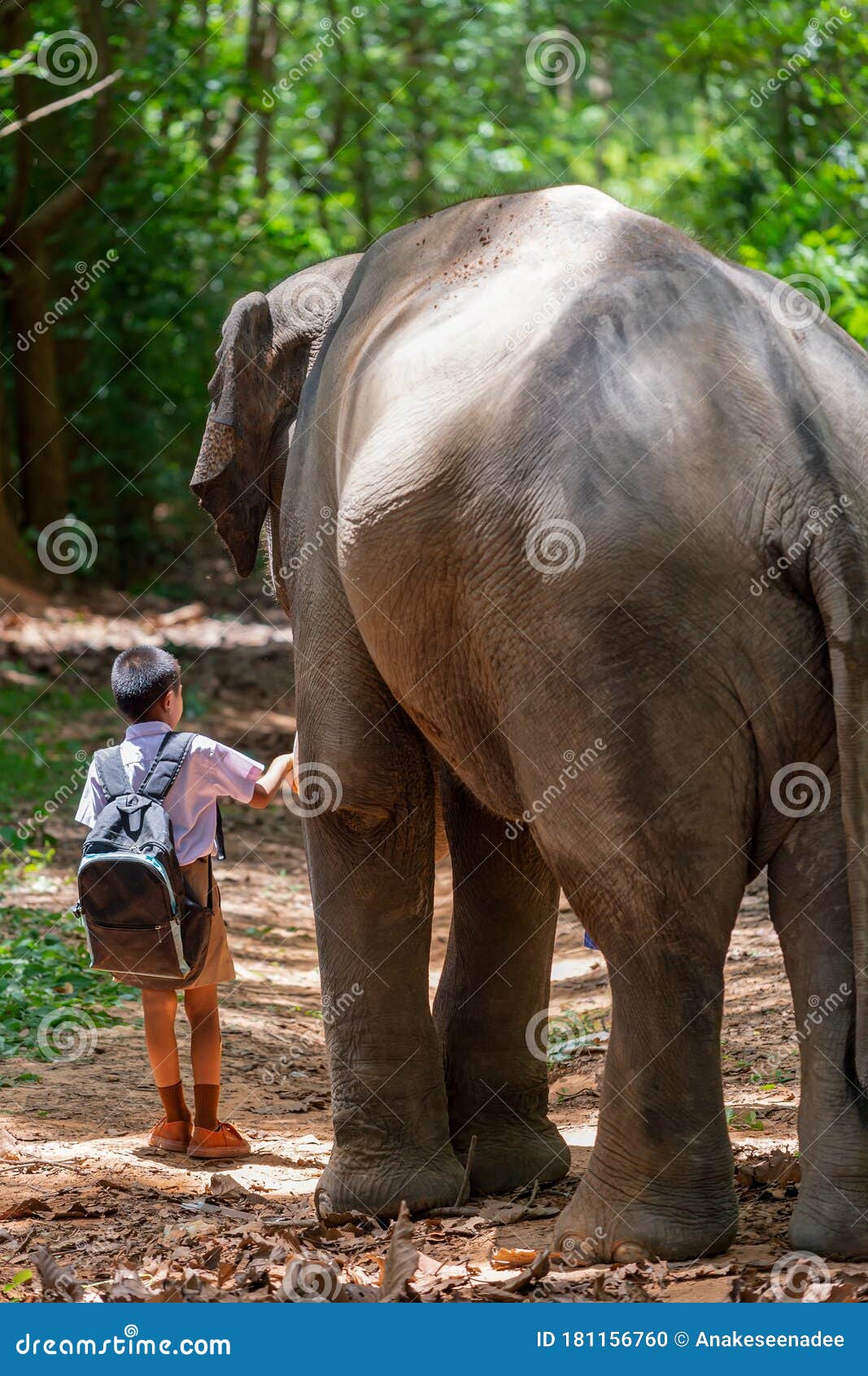 Students Going To School with a Big Elephant Editorial Image - Image of ...