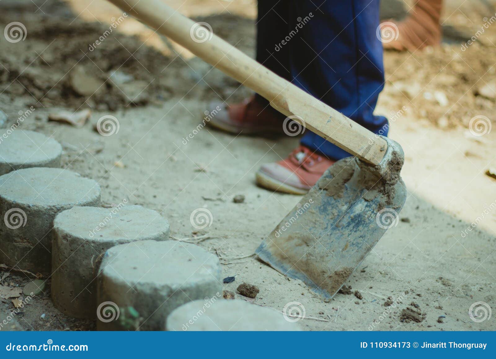 The Students Help To Dig Up the Grass To Prepare the Trees. Stock Image ...