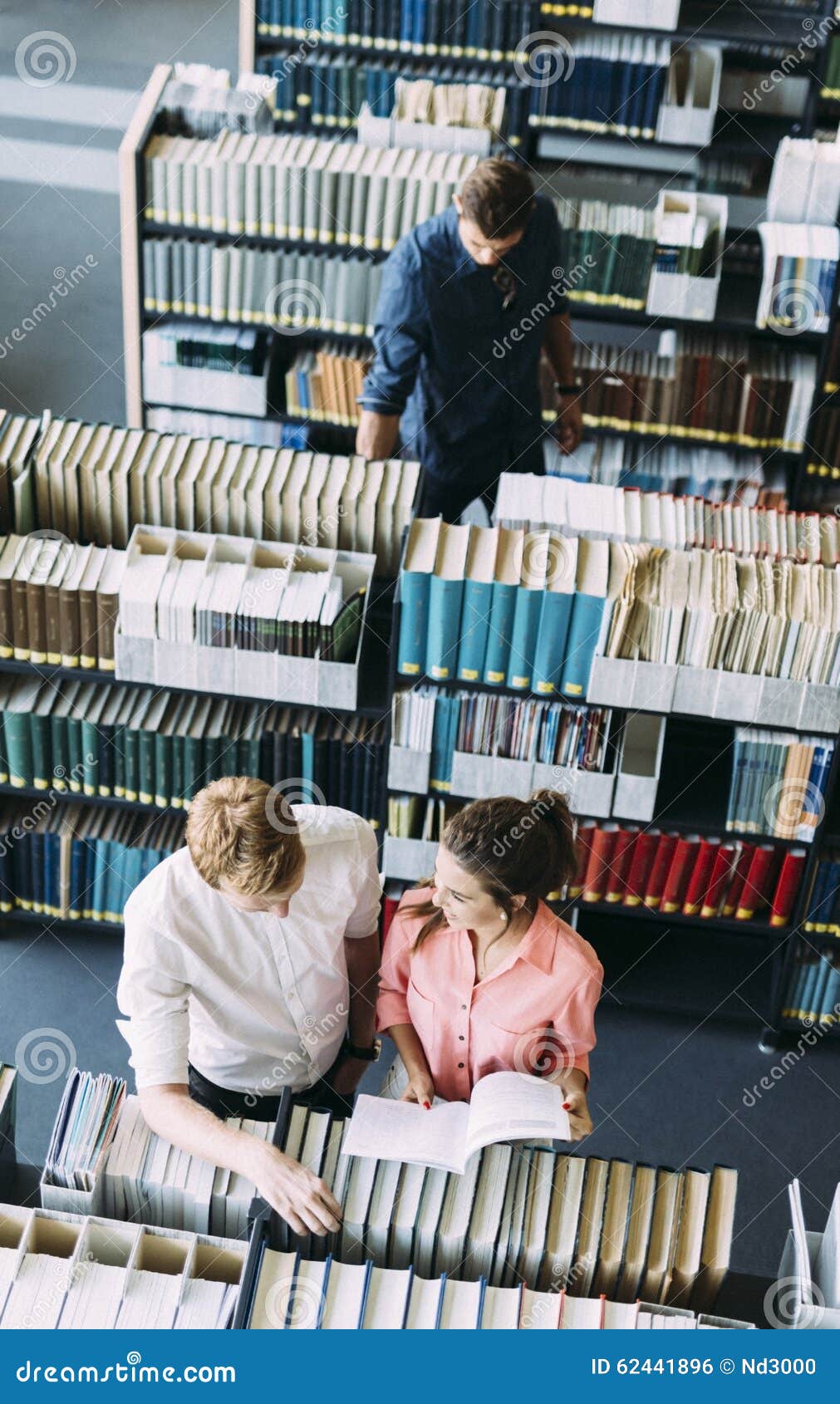 Students Learning, Reading in the Library Stock Photo - Image of study ...