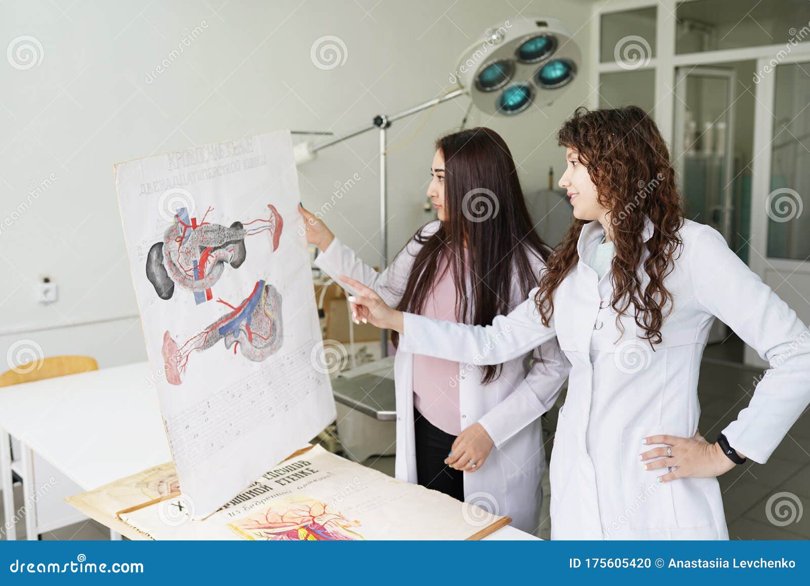 Students of Medicine Examining Anatomical Documents in Classroom Stock ...