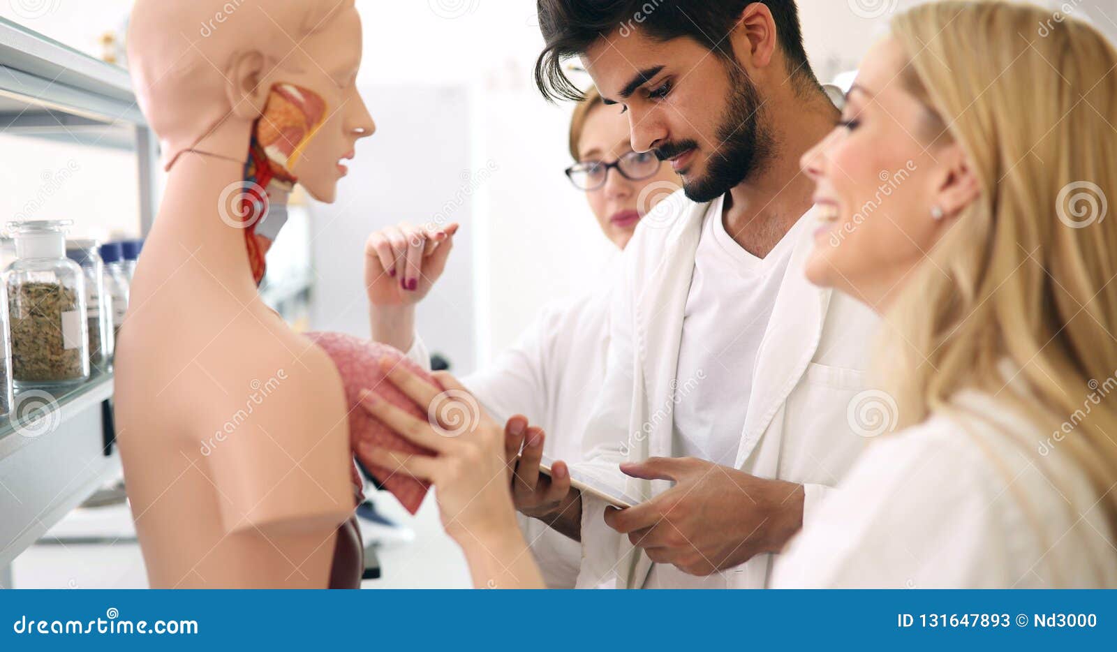 Students of Medicine Examining Anatomical Model in Classroom Stock ...