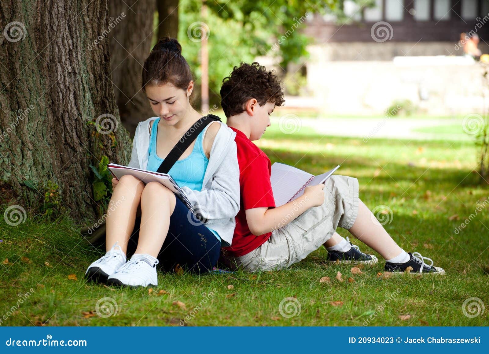 Students outdoor stock image. Image of outdoor, reading - 20934023