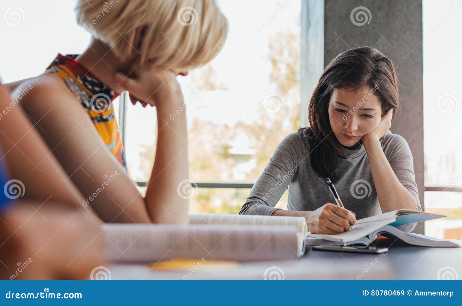 Students Preparing for Final Exams Stock Image - Image of teamwork ...