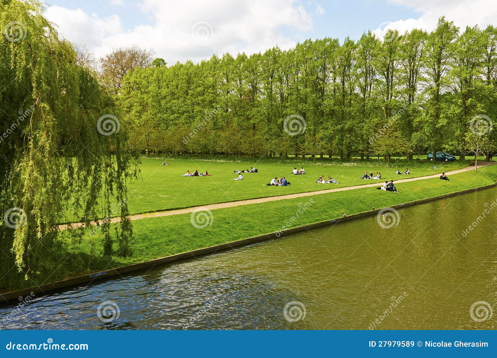 Students relaxing in park stock image. Image of leafy - 27979589