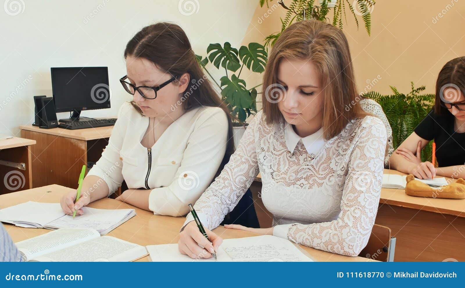 Students Study in the Classroom at the School Desk Stock Photo - Image ...