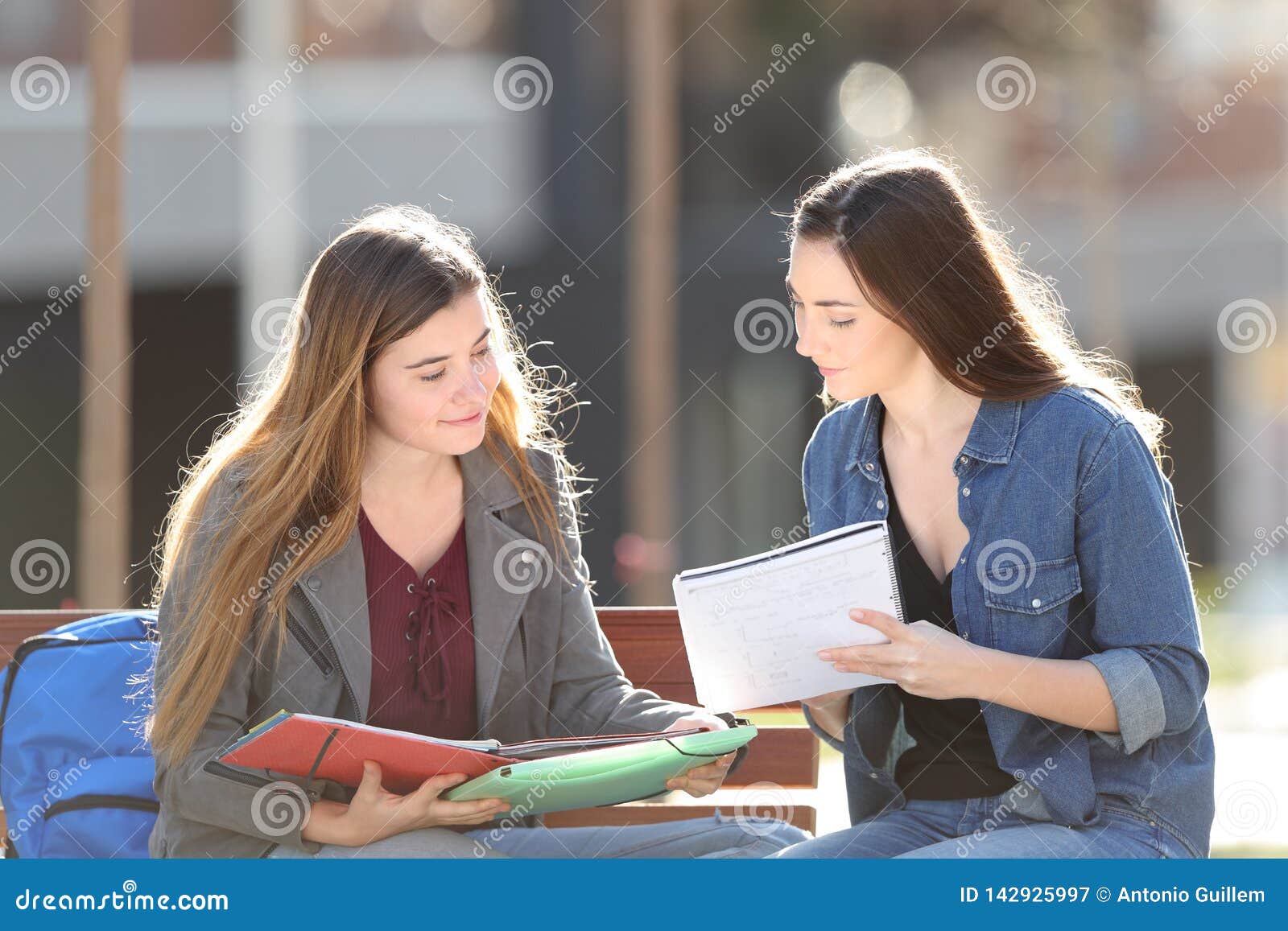 Students Studying Comparing Notes in a Park Stock Image - Image of ...
