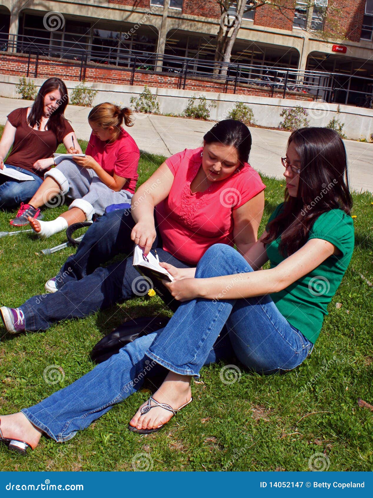 Students studying outside stock image. Image of teamwork - 14052147