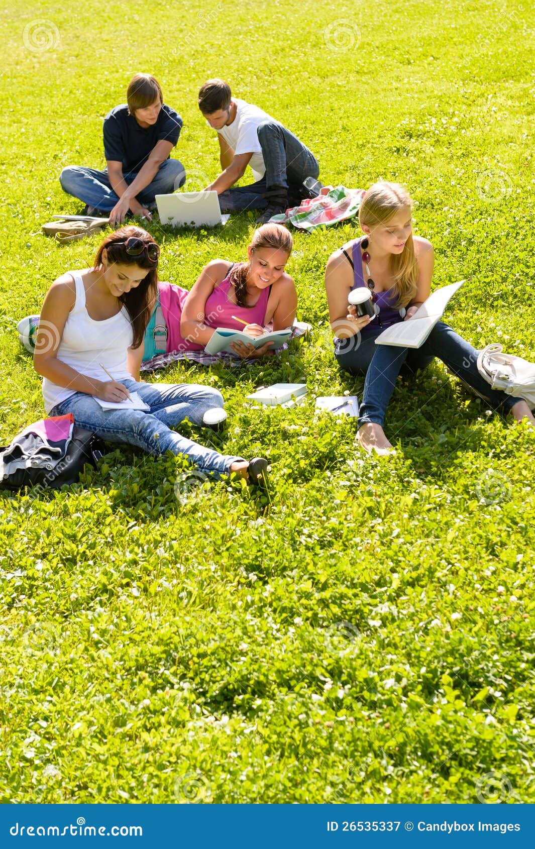 Students Studying Sitting in the Park Teens Stock Image - Image of ...