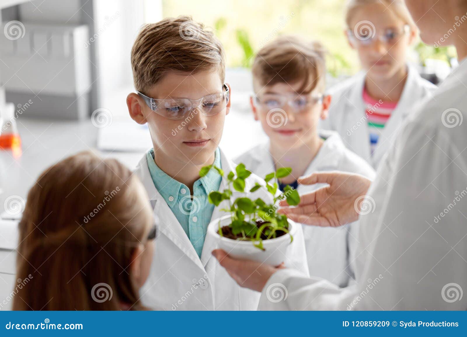 Plant Biology