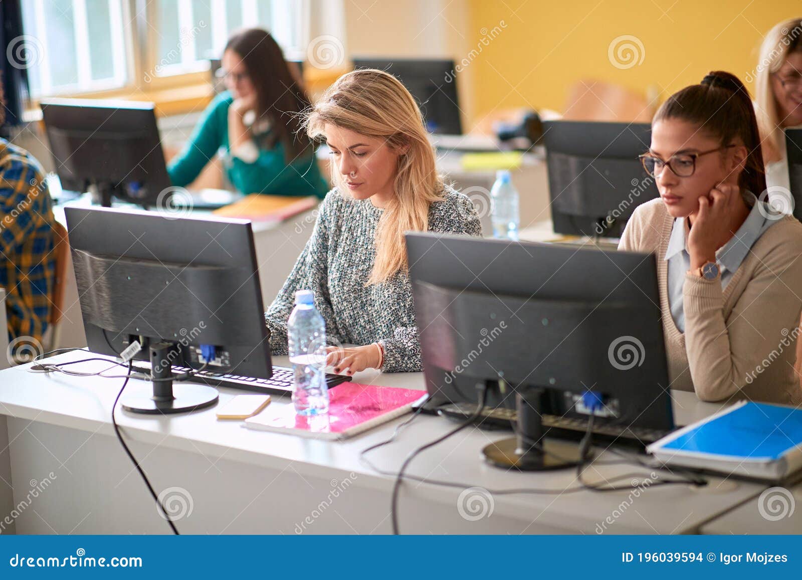 Students Working on Computers at an Informatics Lecture Stock Photo ...