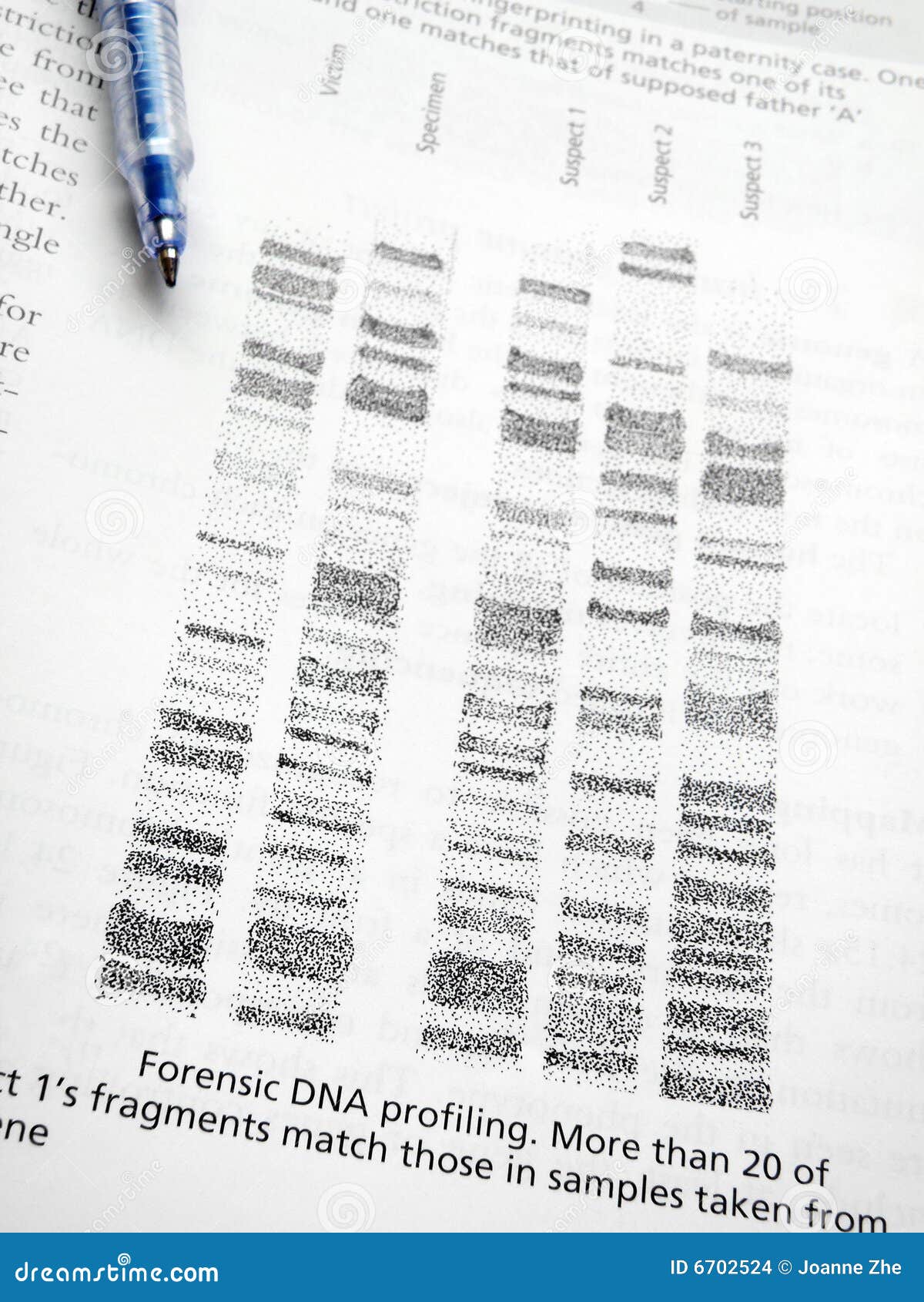 Studieren Des DNA-Ein Profil Erstellens Stockfoto - Bild von chemikalie ...