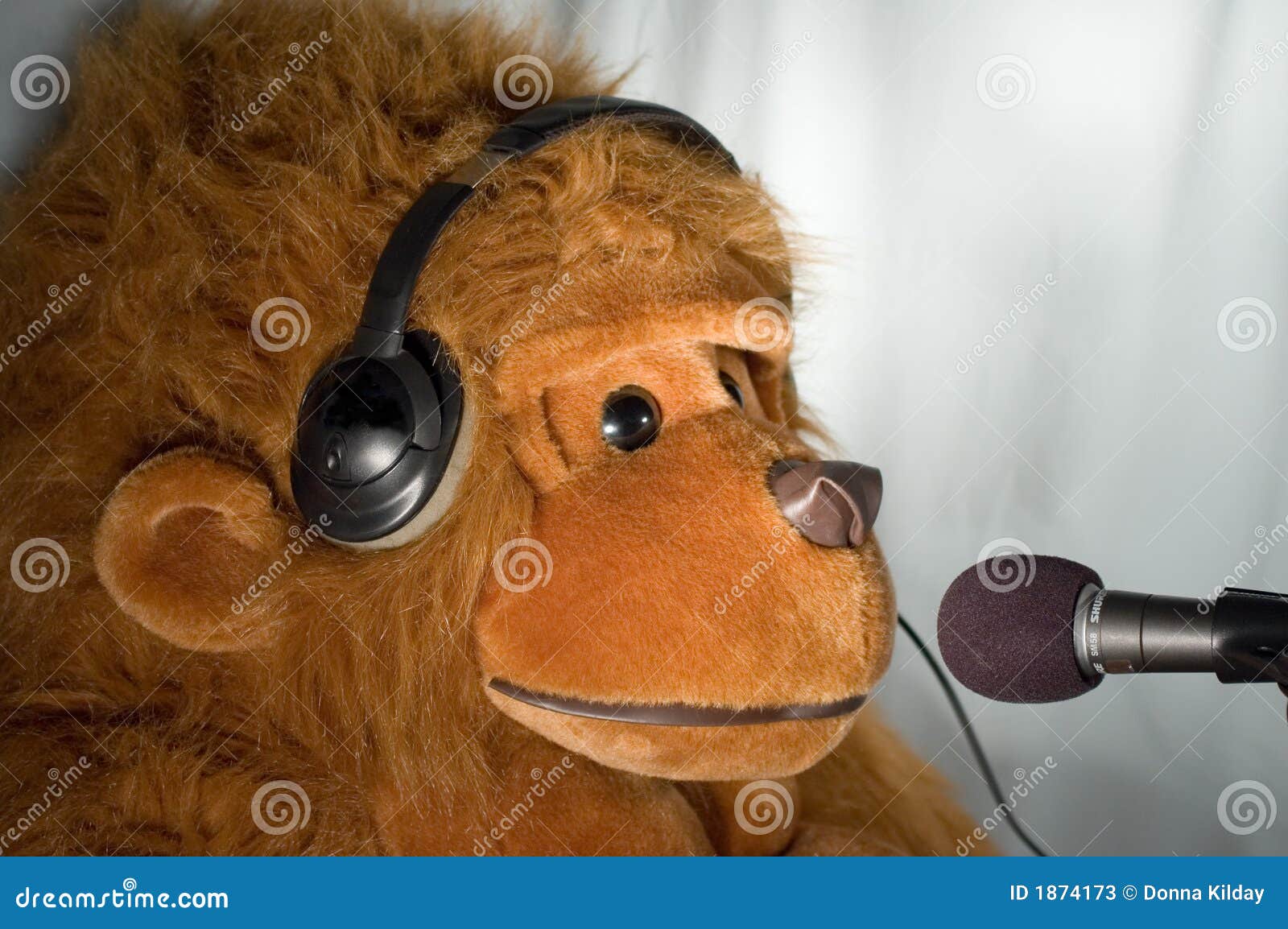 Gorilla Headphones Stock Photos - Free & Royalty-Free Stock Photos from ...
