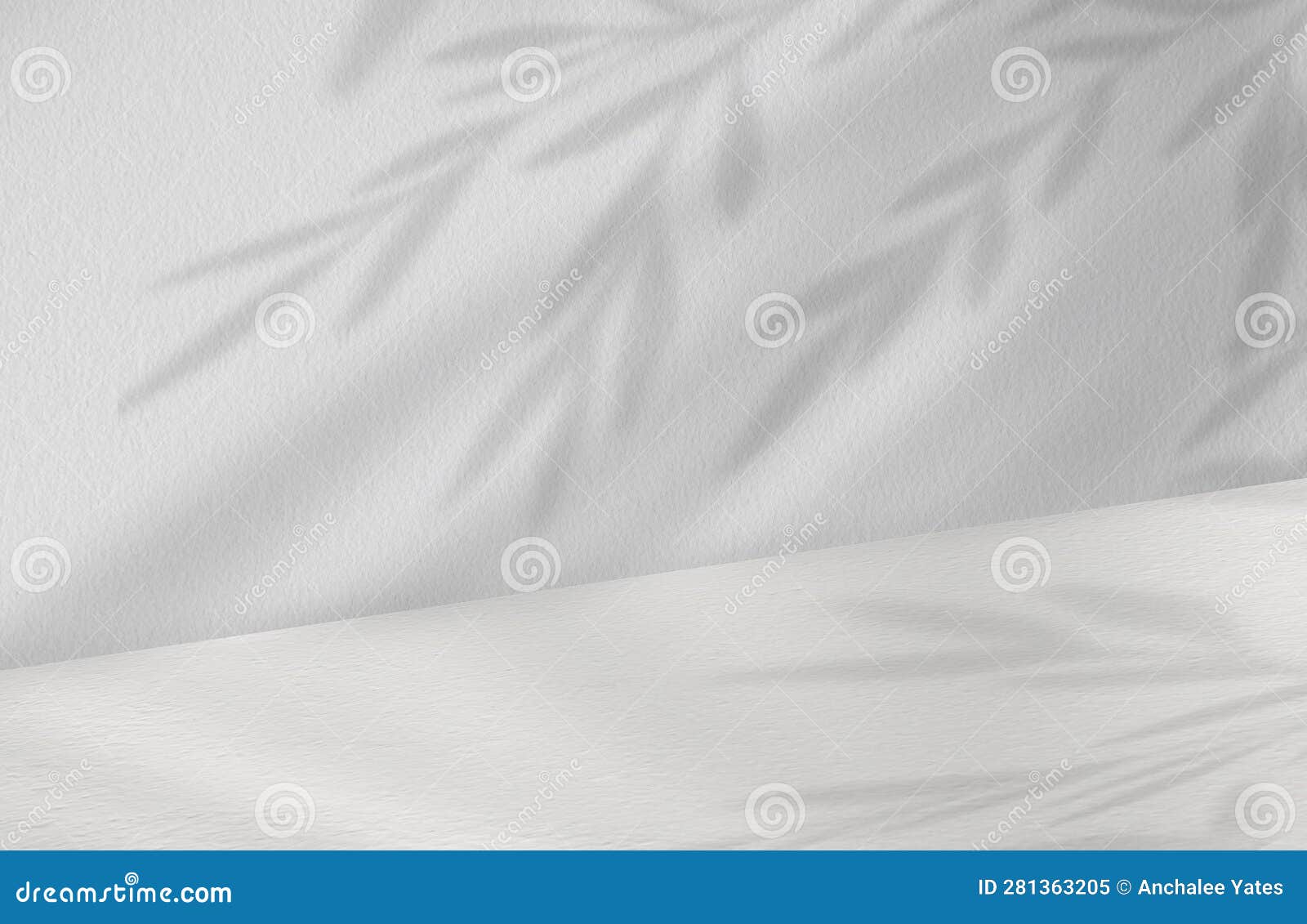 Studio Background,Leaves Shadow with Sunbeam Reflection on Grey ...