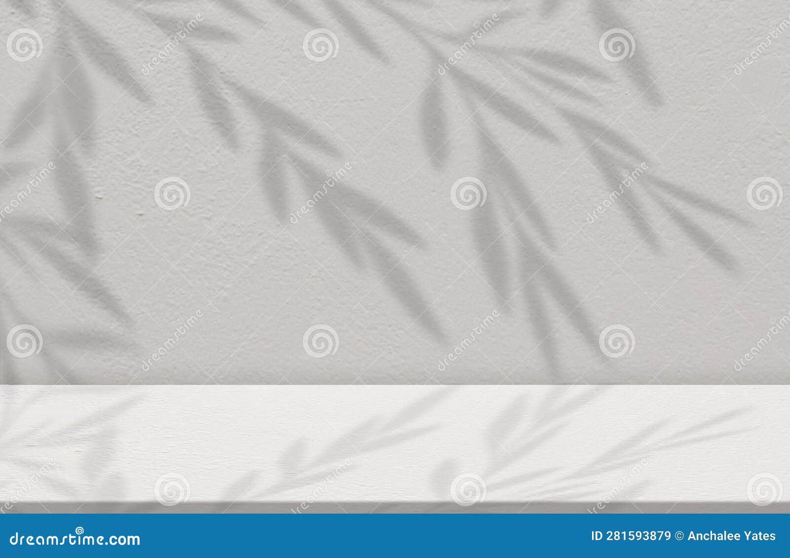 Studio Background,Leaves Shadow with Sunbeam Reflection on Grey ...