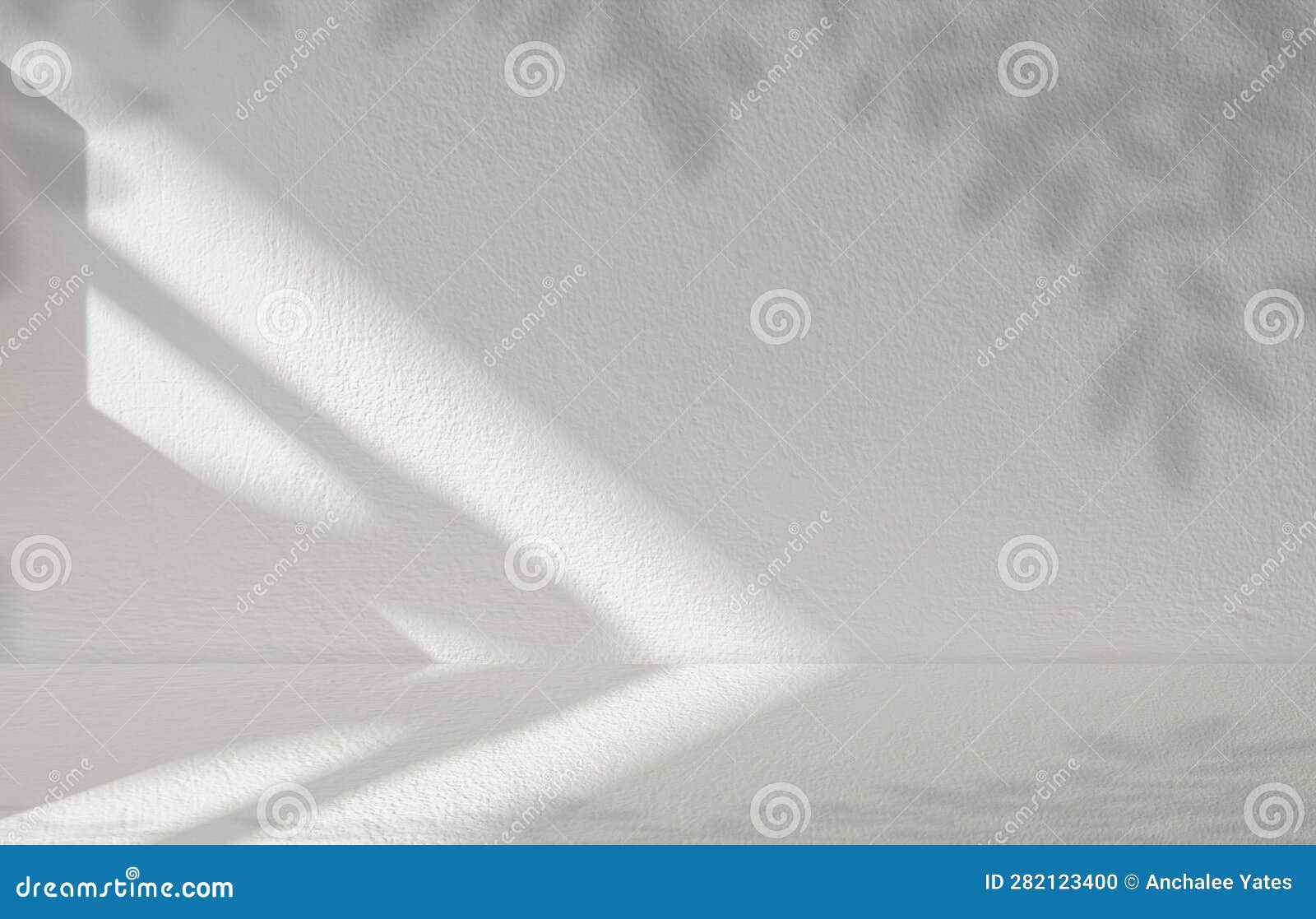 Studio Background,Leaves Shadow with Sunbeam Reflection on Grey ...