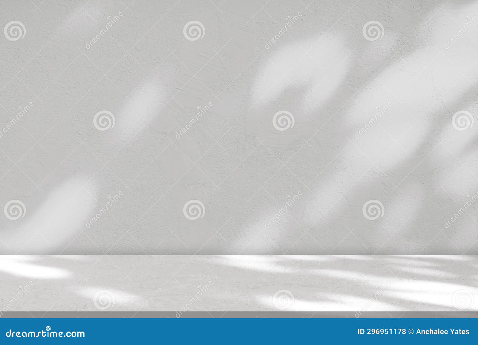 Studio Background White Wall With Shadow Leaves,light On Floor,Empty ...