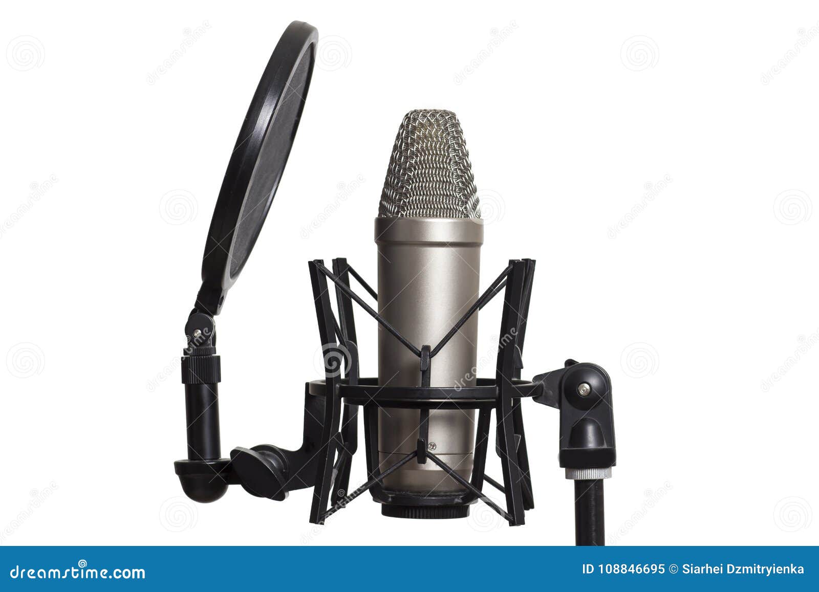 Studio Condenser Microphone with Spider Isolated on White Background ...