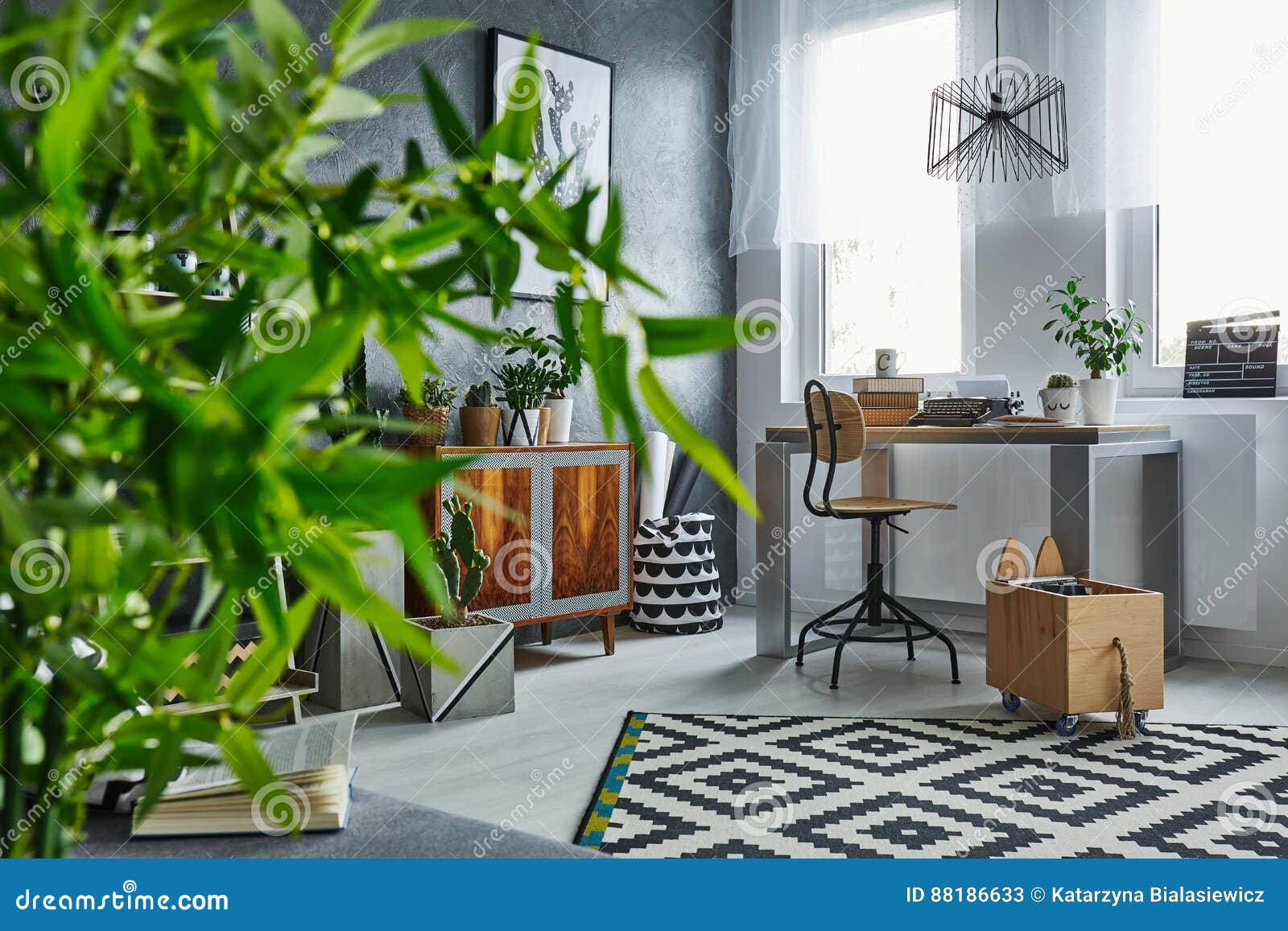 Studio flat with plants stock image. Image of living - 88186633