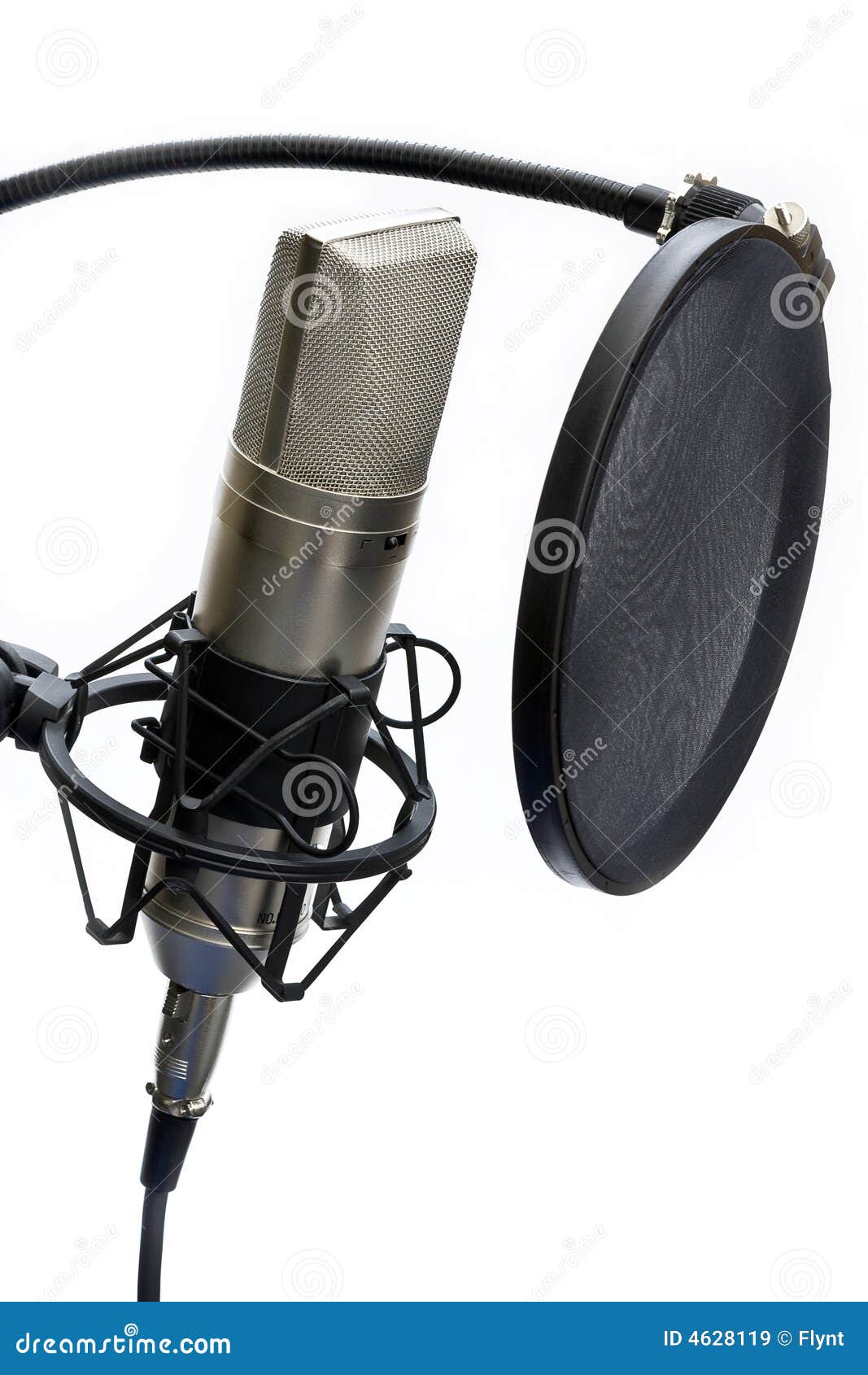 Studio Microphone and Pop Shield Stock Image - Image of audio ...
