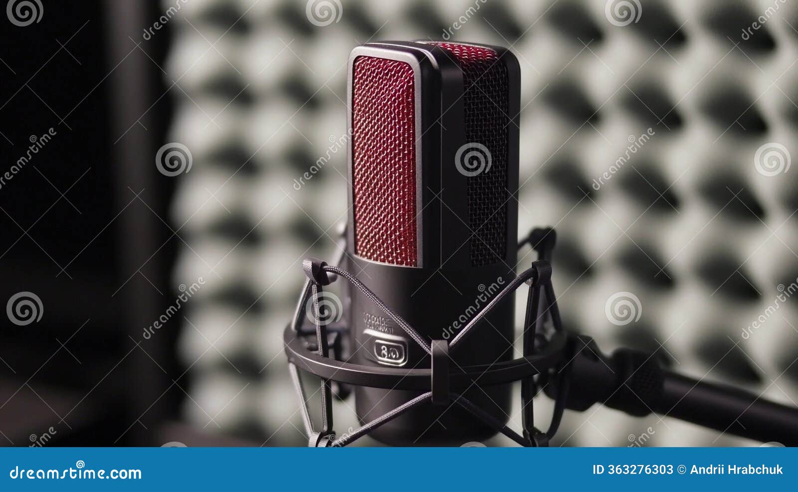 Studio Microphone Setup for Recording Vocals in a Soundproof ...