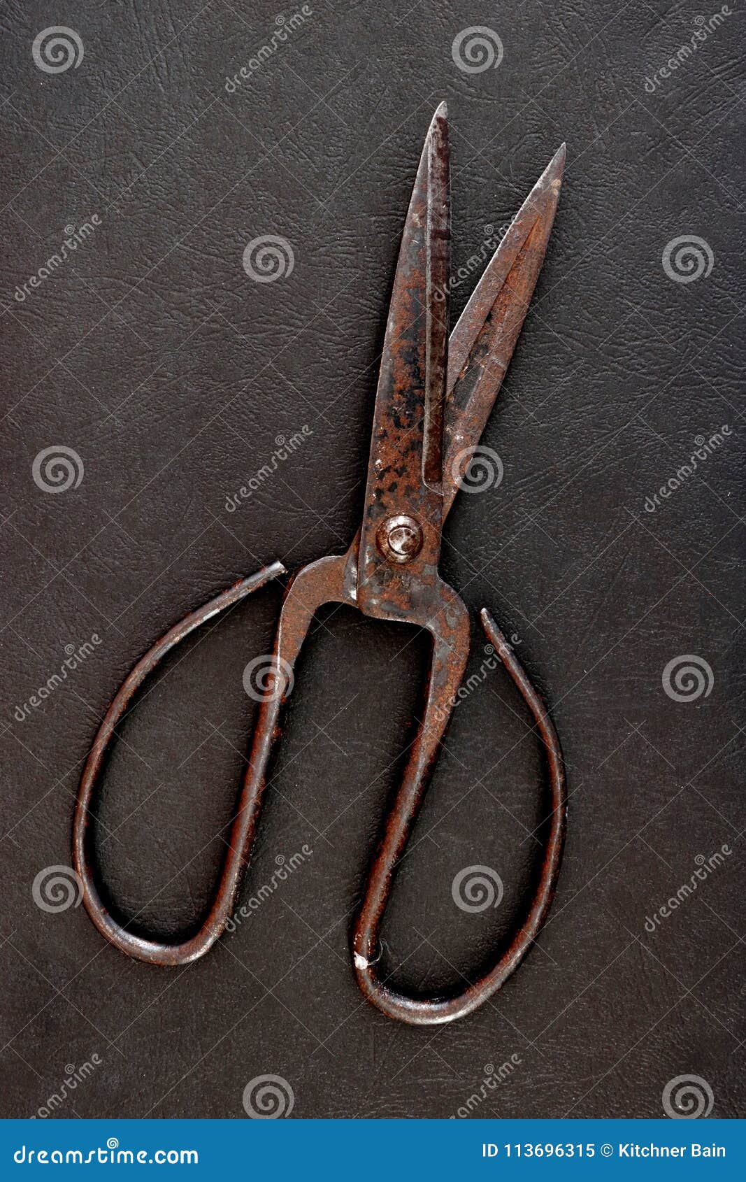 Vintage Scissors stock image. Image of white, retro - 113696315