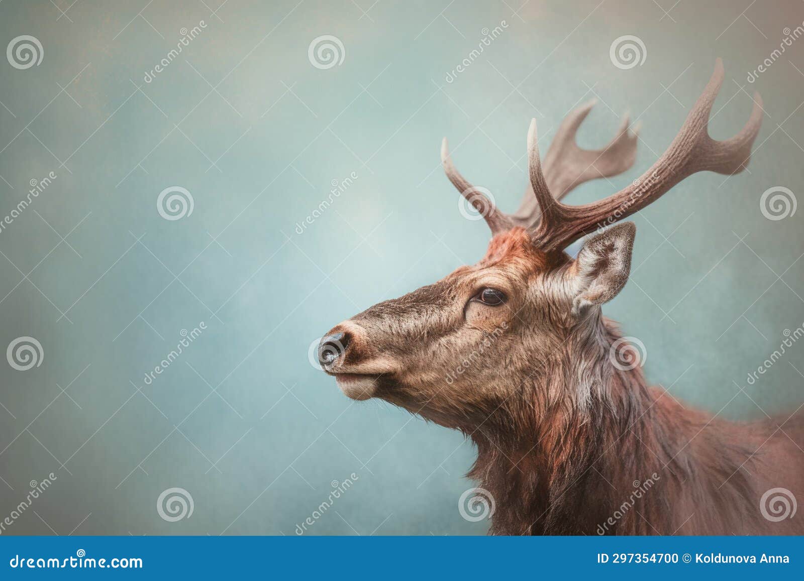Studio Portrait of a Depressed Deer, Concept of Loneliness Stock Photo ...