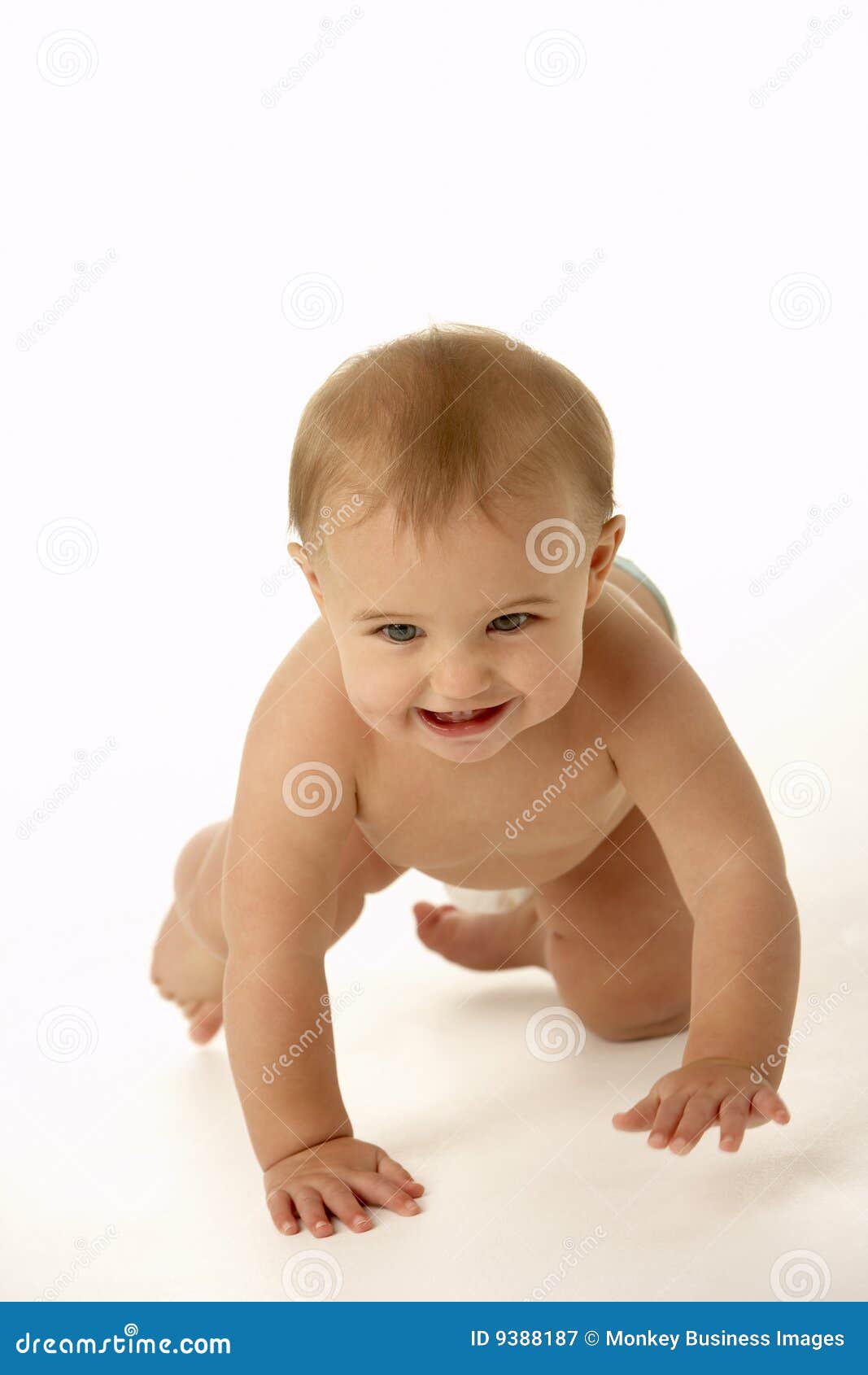 Studio Portrait of Toddler Crawling Stock Image - Image of crawl, naked ...