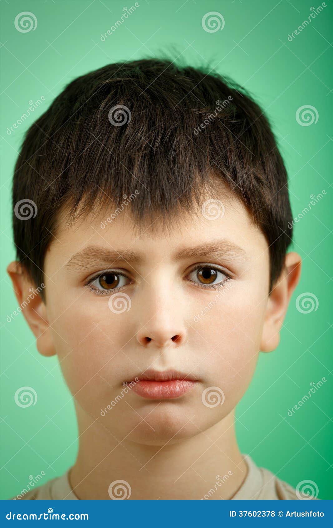 Studio Portrait of Young Boy Stock Photo - Image of cute, portrait ...