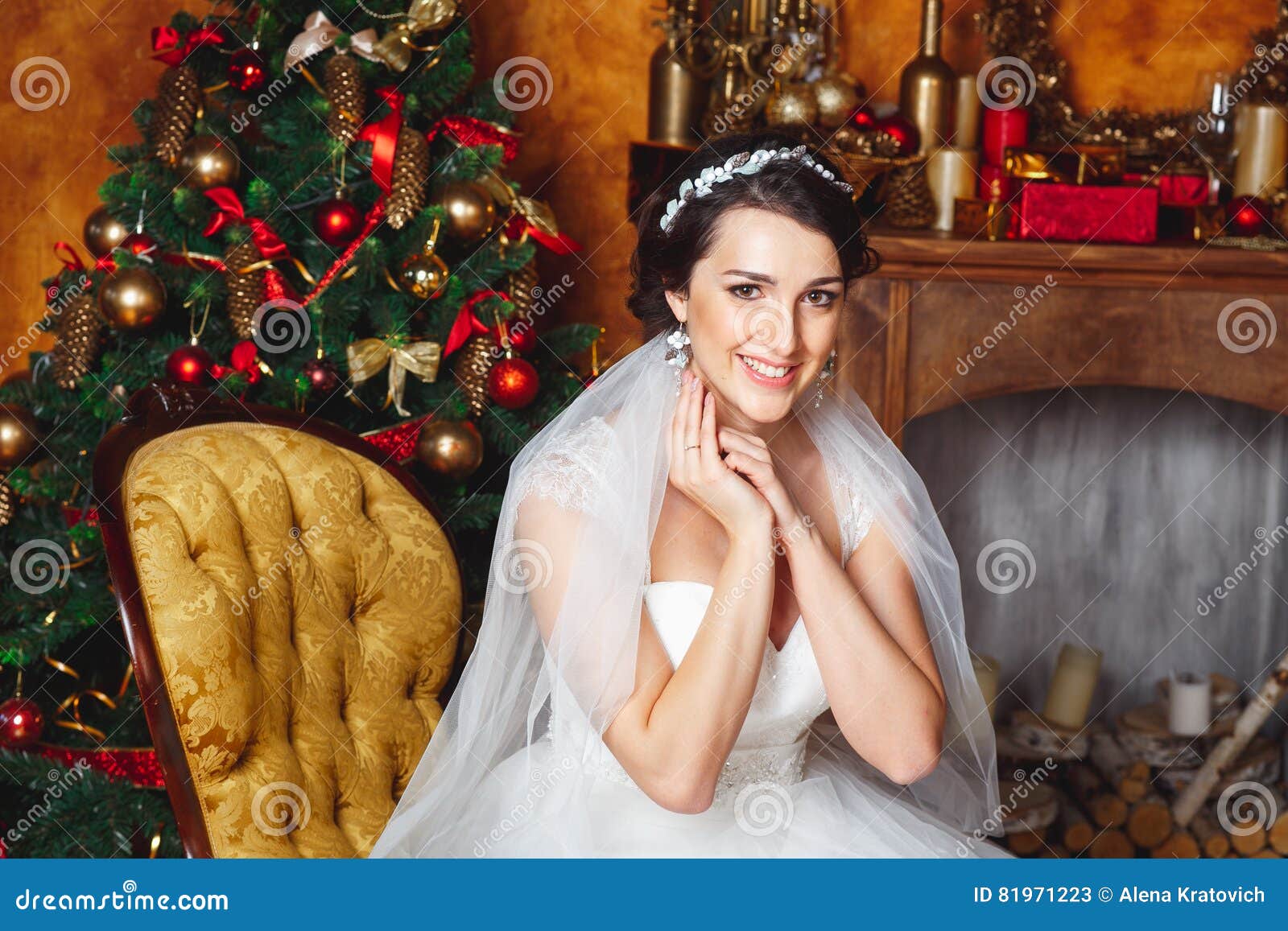 Studio Portraits of Beautiful Bride . Christmas Decoration Stock Image ...