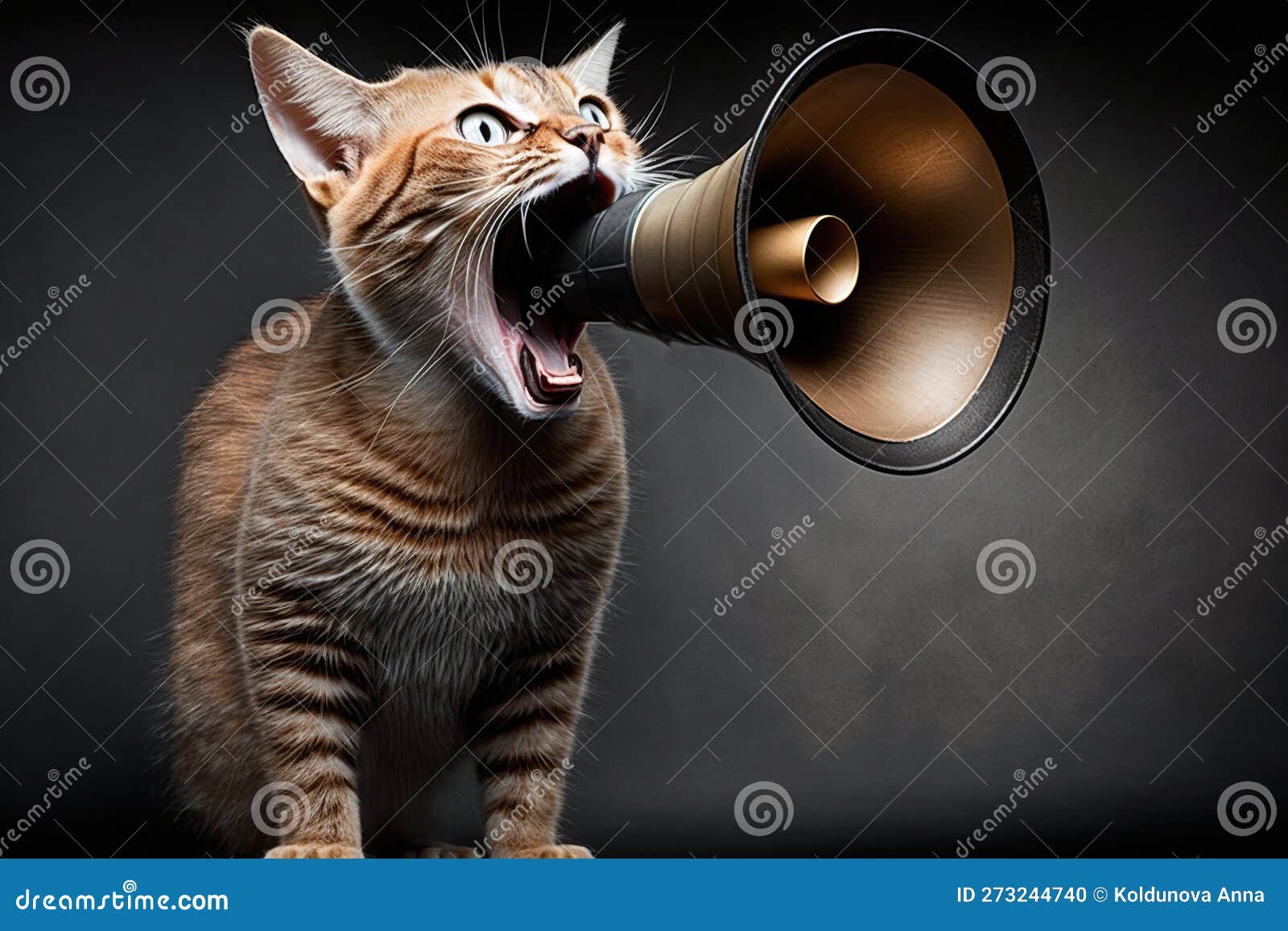Studio Shot Cat Shout Megaphone, Created with Generative AI Technology ...