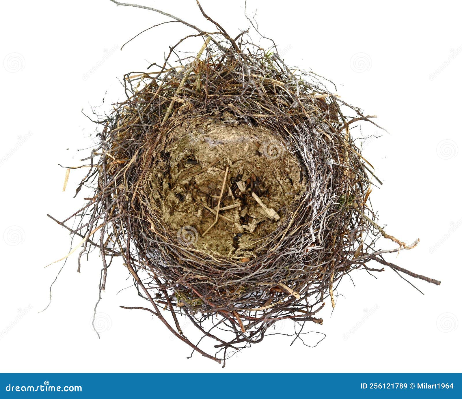 Studio Shot of an Empty Bird Nest Isolated Stock Image - Image of view ... Studio Shot of an Empty Bird Nest Isolated Stock Image - Image of view ...