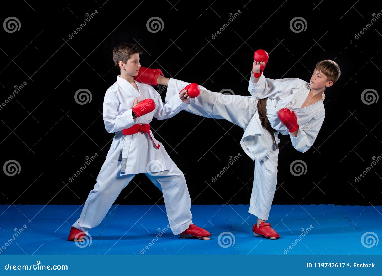 The Studio Shot of Group of Kids Training Karate Martial Arts Stock ...