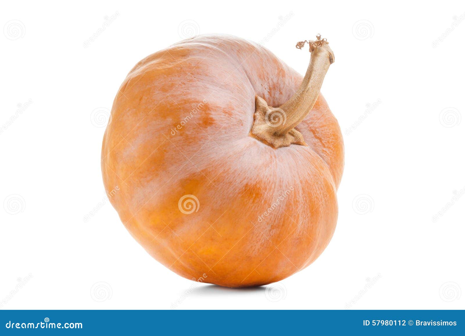 Studio Shot of a Nice Pumpkin Isolated on White Stock Photo - Image of ...