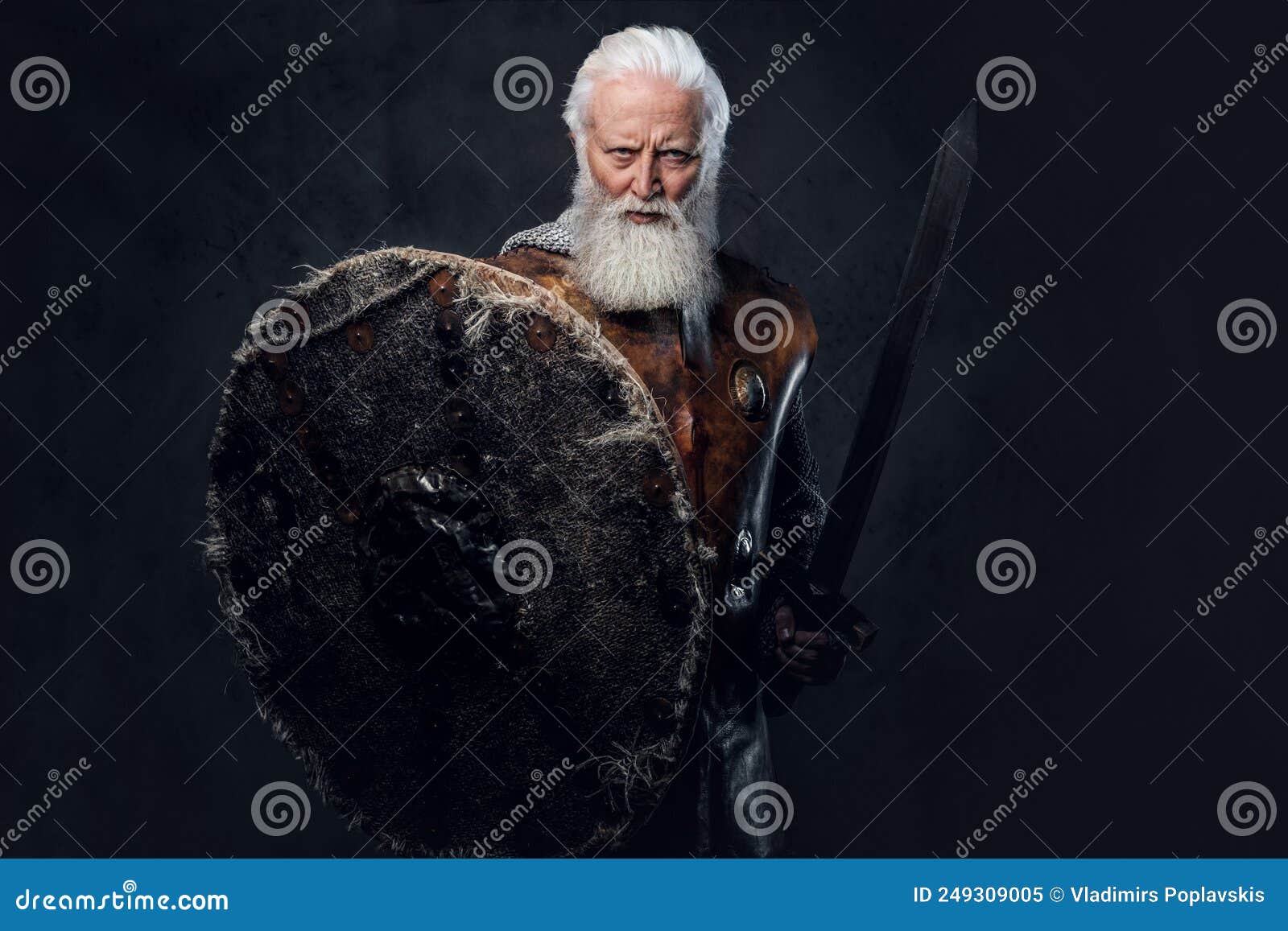 Elderly Knight with Shield and Sword Against Dark Background Stock ...